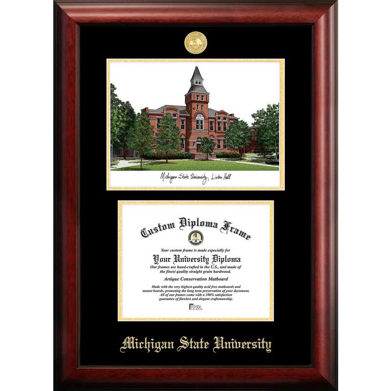 Michigan State University Linton Hall Gold embossed diploma frame with ...
